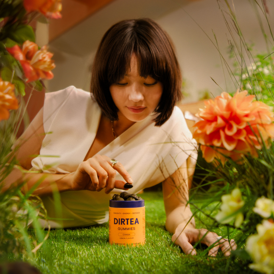 Collections – DIRTEA