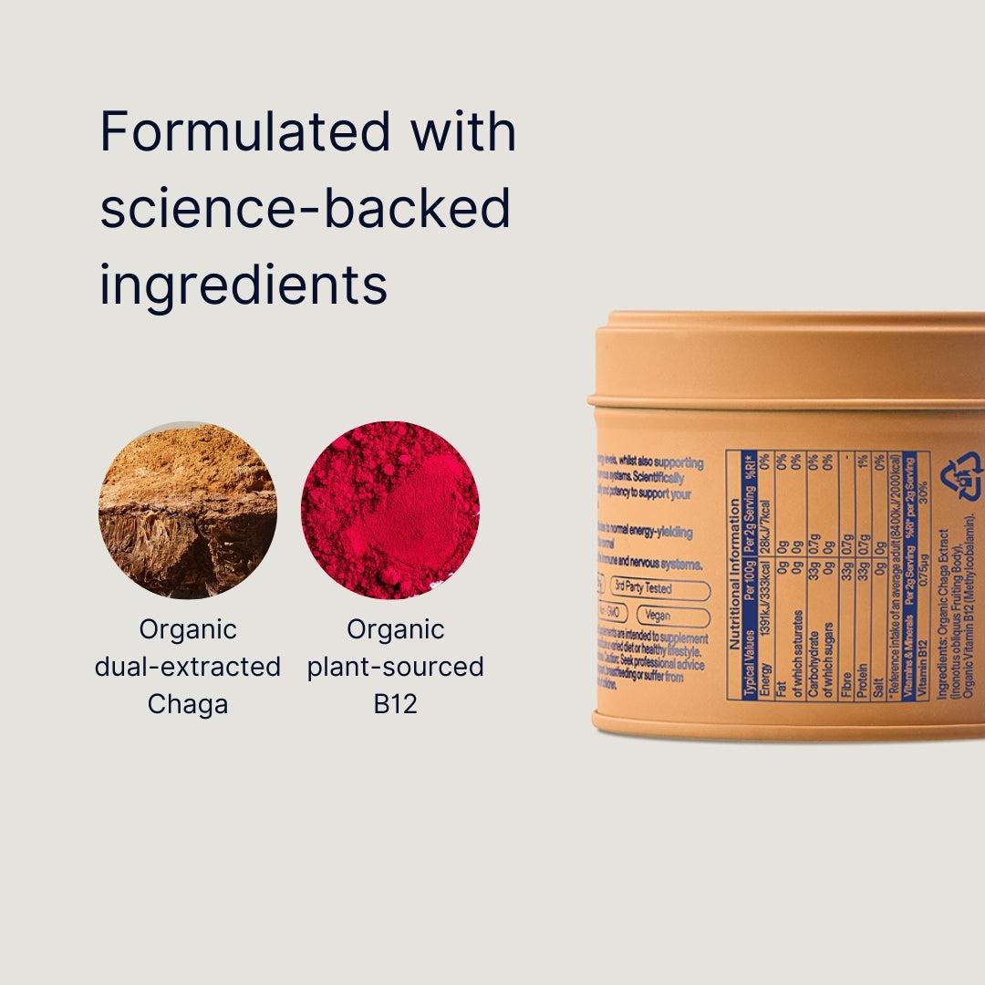 Chaga Mushroom Powder | DIRTEA Functional Mushrooms