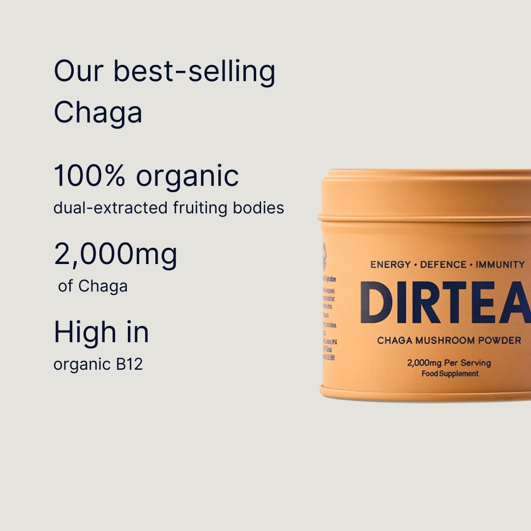 Chaga Mushroom Powder | DIRTEA Functional Mushrooms