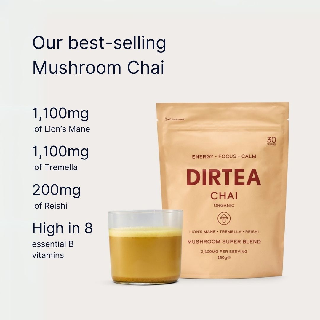 Mushroom Chai Powder | DIRTEA Functional Mushrooms
