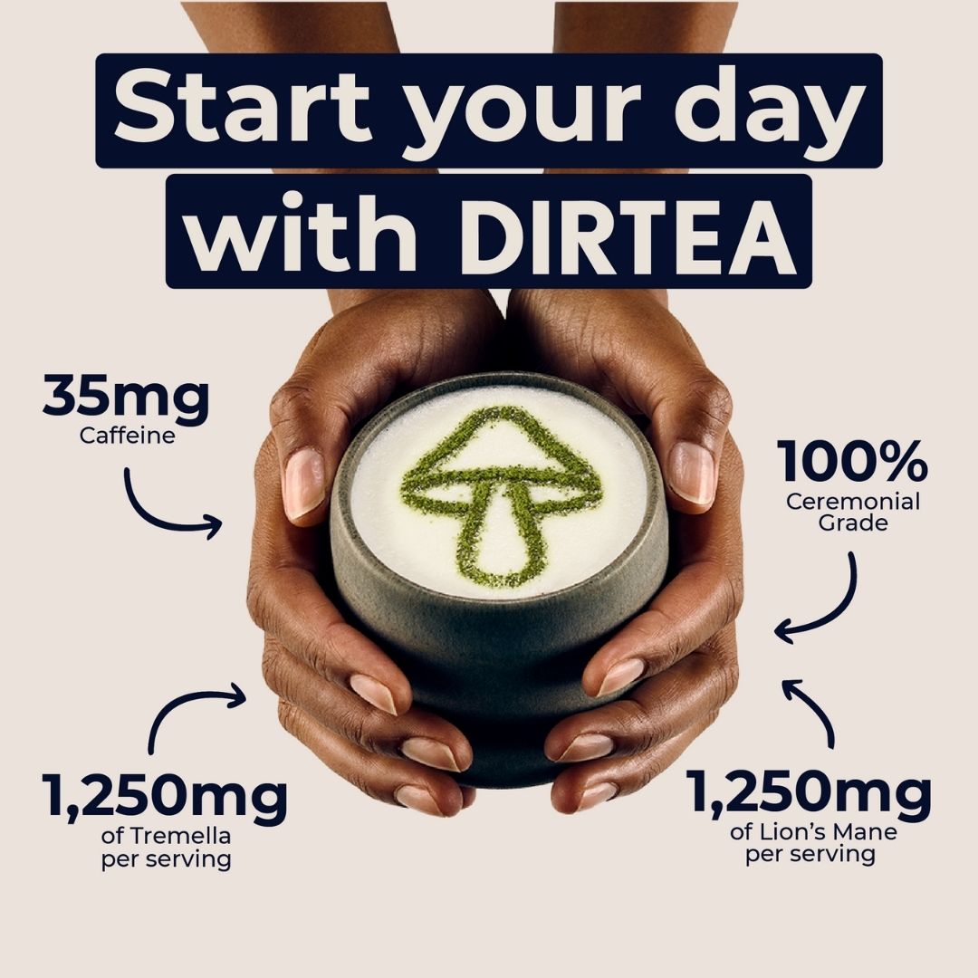Mushroom Matcha Super Blend | DIRTEA Functional Mushrooms