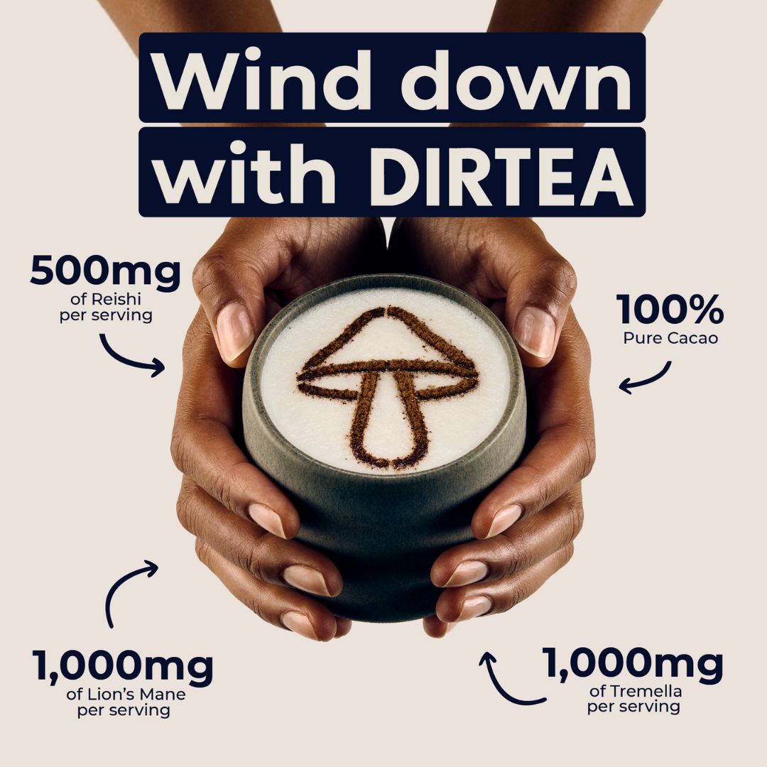 Mushroom Cacao Super Blend | DIRTEA Functional Mushrooms