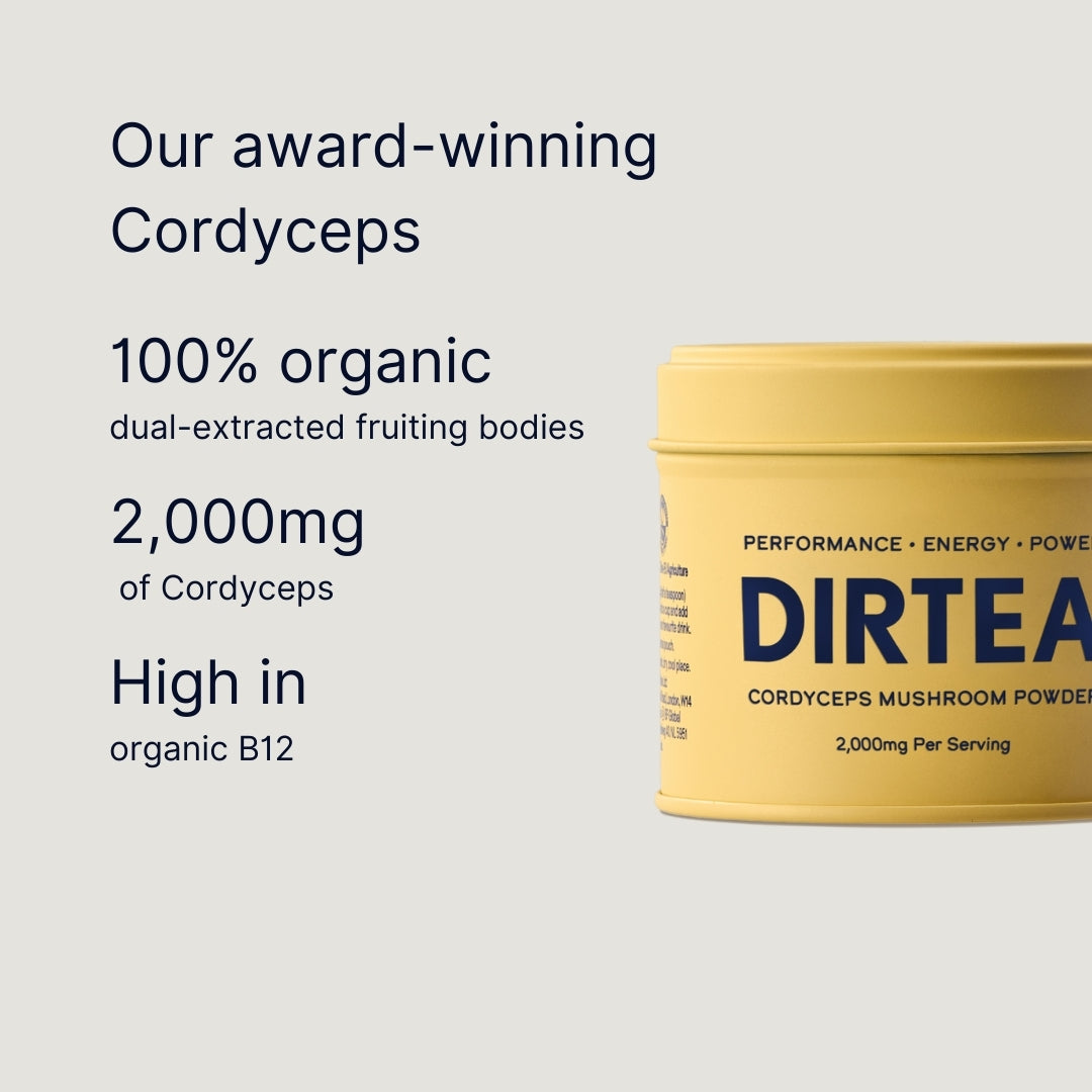 Cordyceps Mushroom Powder | DIRTEA Functional Mushrooms