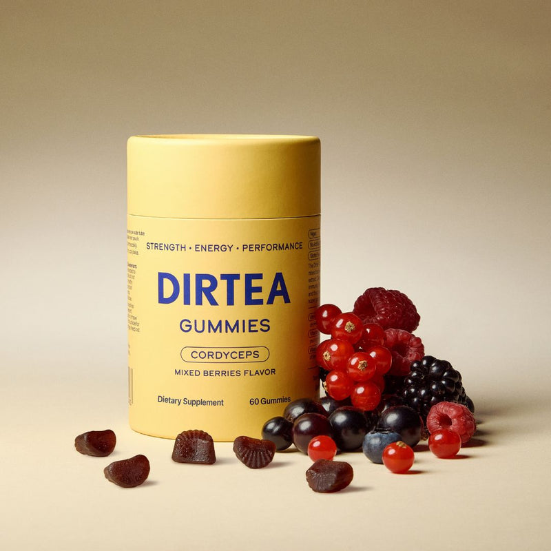 DIRTEA Mushrooms for Focus, Energy, Calm | DIRTEA Functional Mushrooms