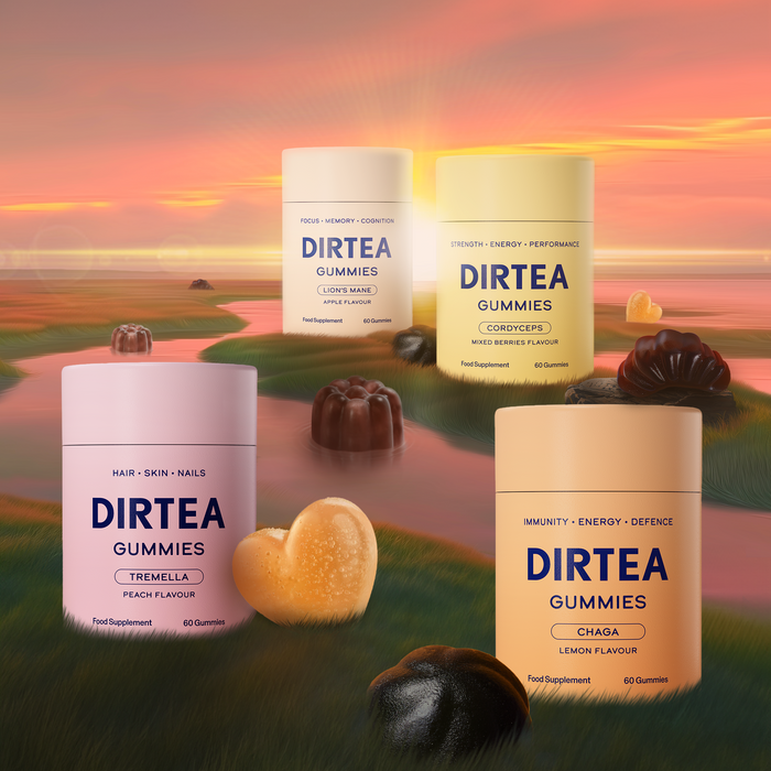 DIRTEA Functional Mushrooms | Shop All Mushroom Gummies