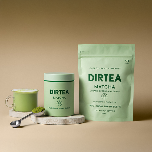 Mushroom Matcha Super Blend | DIRTEA Functional Mushrooms