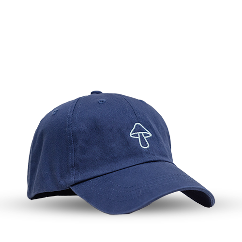 Our Collections | DIRTEA Functional Mushrooms