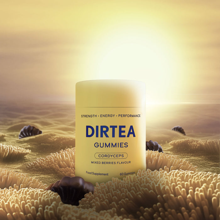 Our Collections | DIRTEA Functional Mushrooms