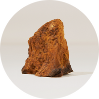 Chaga Mushroom Tea Powder 30 Day Serving | Energy Boost | Dirtea World ...