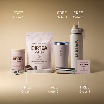 Collections – DIRTEA