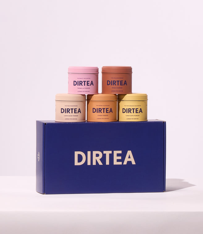 Become a DIRTEA Ambassador | DIRTEA Functional Mushrooms