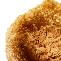 Tremella Mushroom Powder | DIRTEA Functional Mushrooms