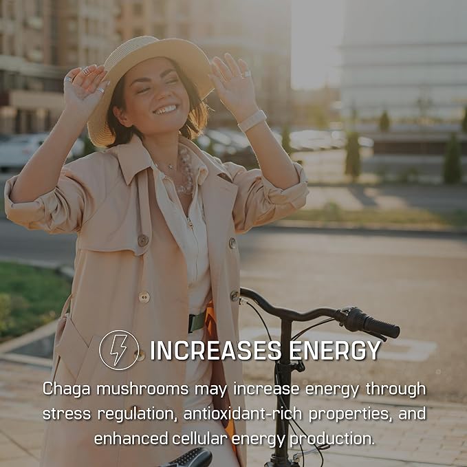 DIRTEA Functional Mushrooms | Shop Chaga Mushroom Powder (60g serving)